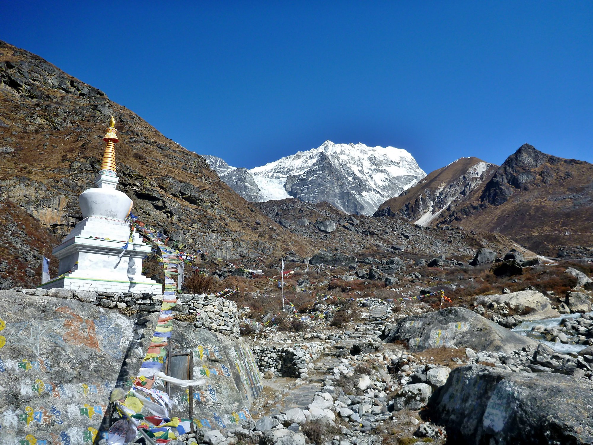 Why Participate in langtang trek? - Traveller Lifestyle